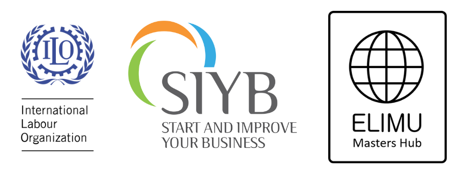 siyb.elimumastershub.com